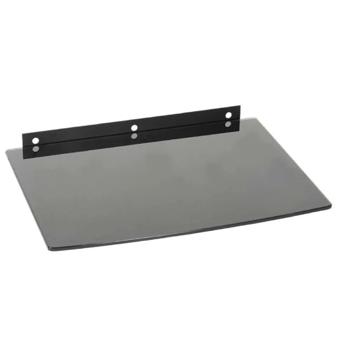 Economy Steel & Tempered Glass Wall Mount